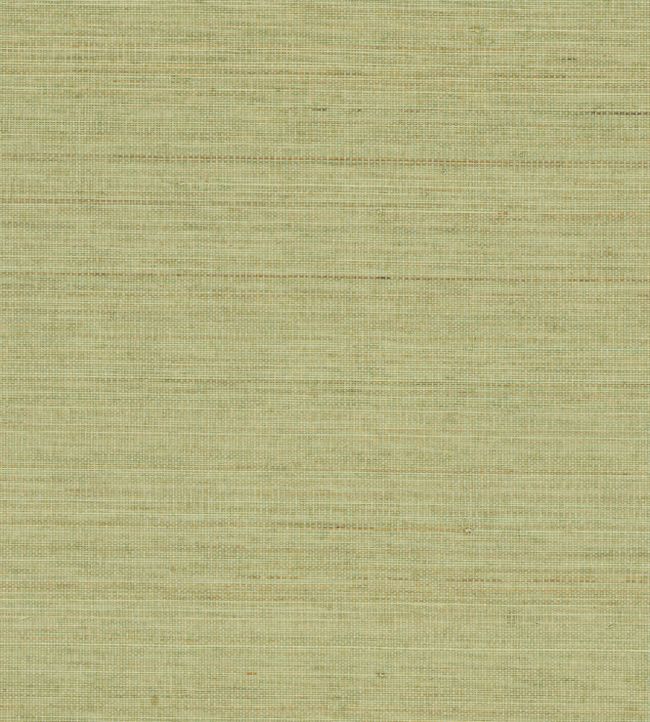 Abaca Wallpaper in Green by Nobilis | Jane Clayton