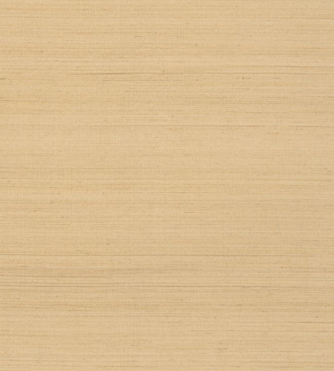 Abaca Wallpaper in Sand by Nobilis | Jane Clayton