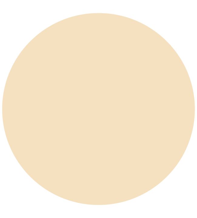 Craig & Rose Adam Cream Paint | Jane Clayton
