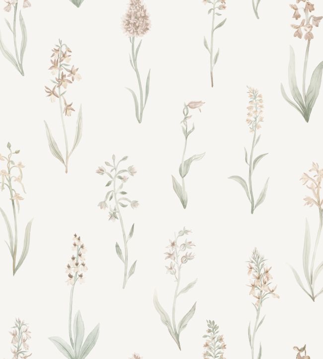 Alma Wallpaper in Blush by Sandberg | Jane Clayton