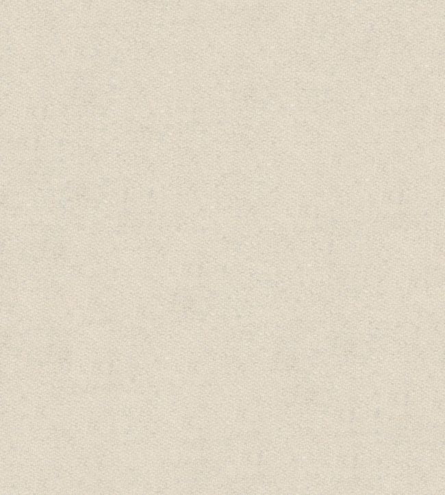 Ambrogio Fabric in Marble by Warner House | Jane Clayton