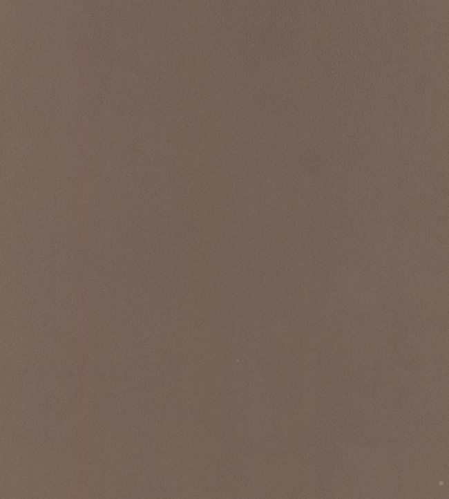 Houdini Velvet Fabric by Andrew Martin in Mole | Jane Clayton