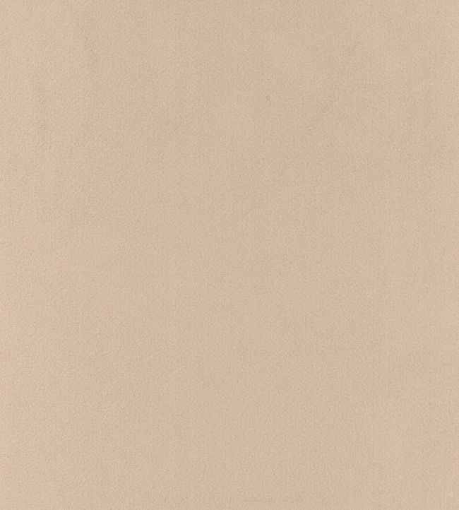 Houdini Velvet Fabric by Andrew Martin in Putty | Jane Clayton