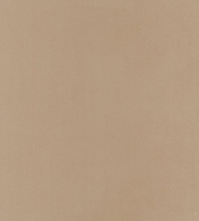 Houdini Velvet Fabric by Andrew Martin in Sand | Jane Clayton