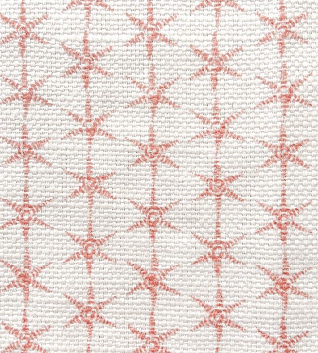 Anise Fabric in Pink by Juliet Travers | Jane Clayton