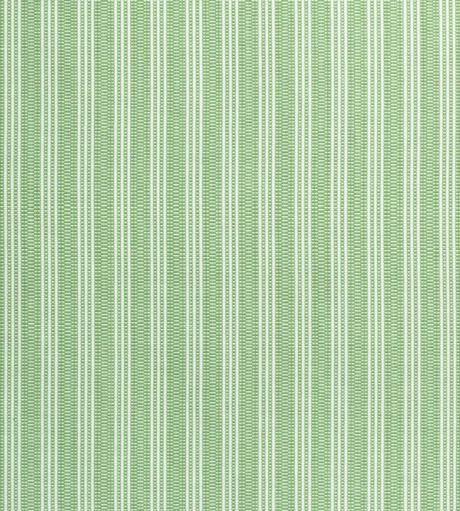 Reed Stripe Fabric by Anna French in Green | Jane Clayton