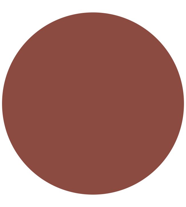 Arabian Red Paint in Arabian Red by Craig & Rose | Jane Clayton