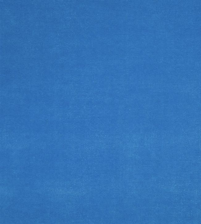 Arona Fabric in Cerulean by Designers Guild | Jane Clayton