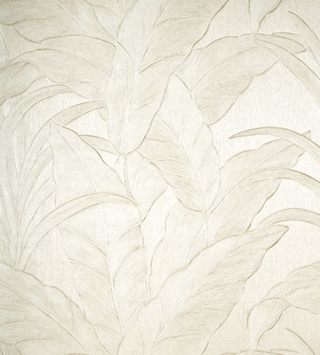 Musa Wallpaper by Arte in 5 | Jane Clayton