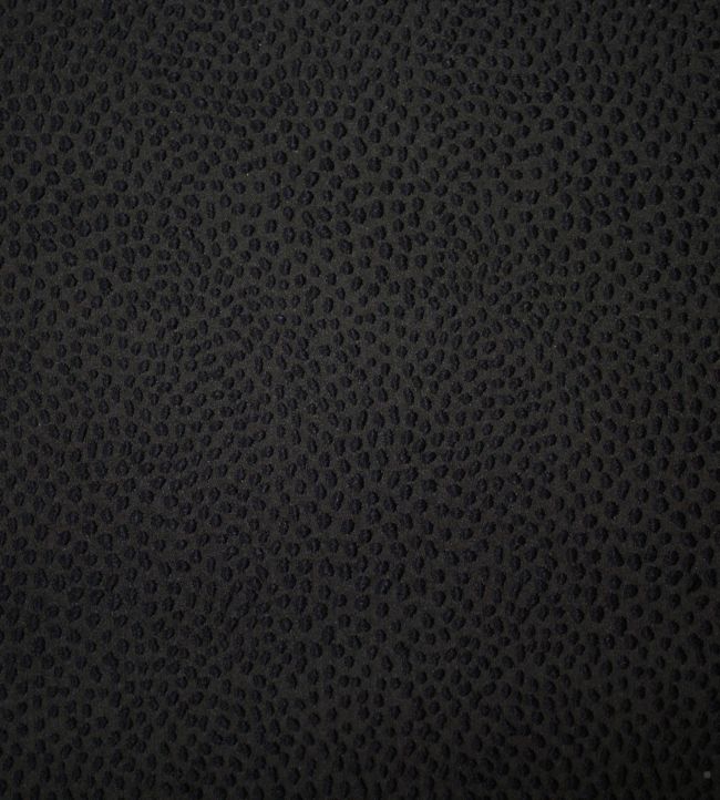 Blean Fabric by Ashley Wilde in Ebony | Jane Clayton