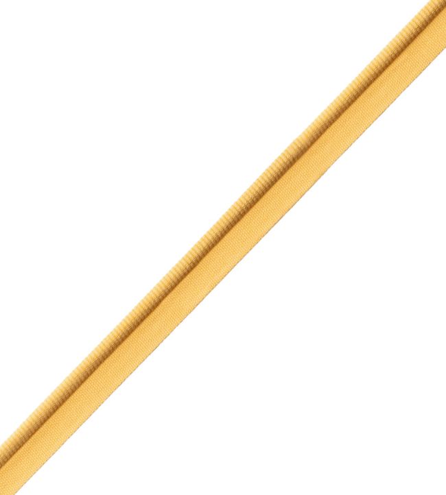 Aspen Piping Trimmings in Golden Glow by Samuel & Sons | Jane Clayton