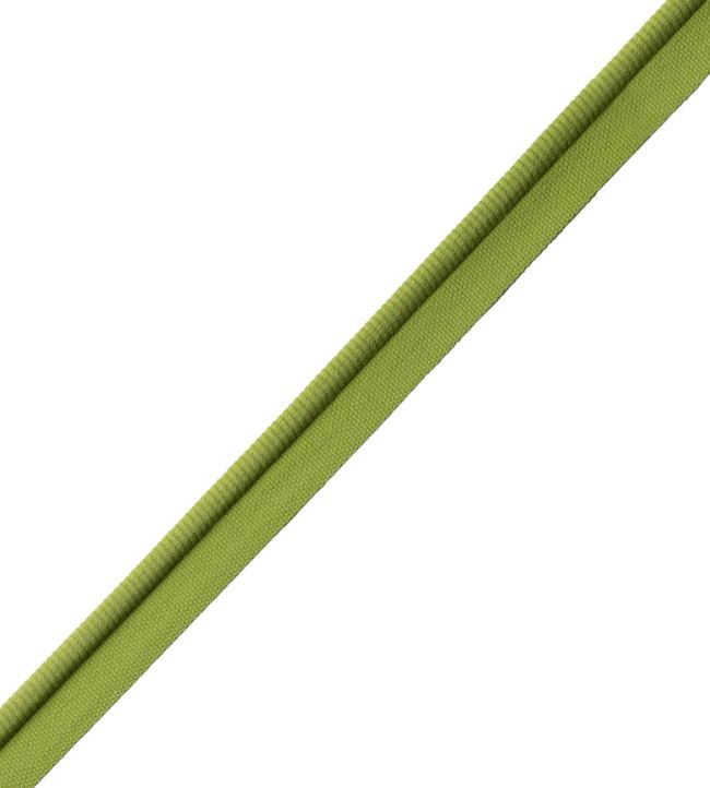 Aspen Piping Trimmings in Meadow by Samuel & Sons | Jane Clayton