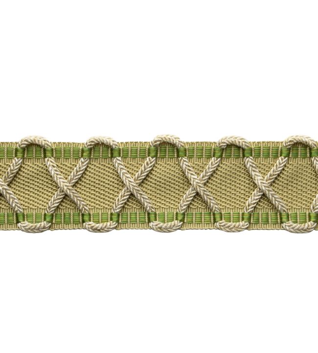 Bagatelle Border Trimmings in Fern by Samuel & Sons | Jane Clayton