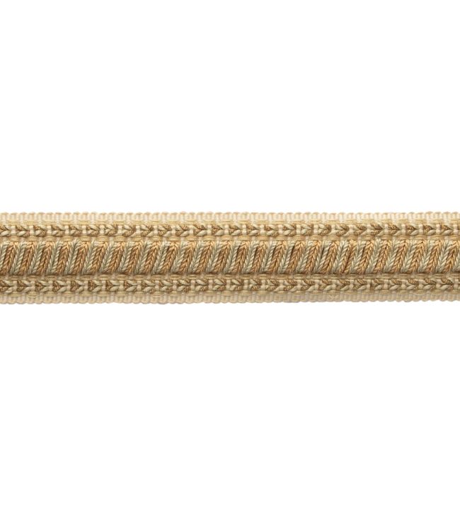 Bagatelle Braid Trimmings in Gilded Gold by Samuel & Sons | Jane Clayton