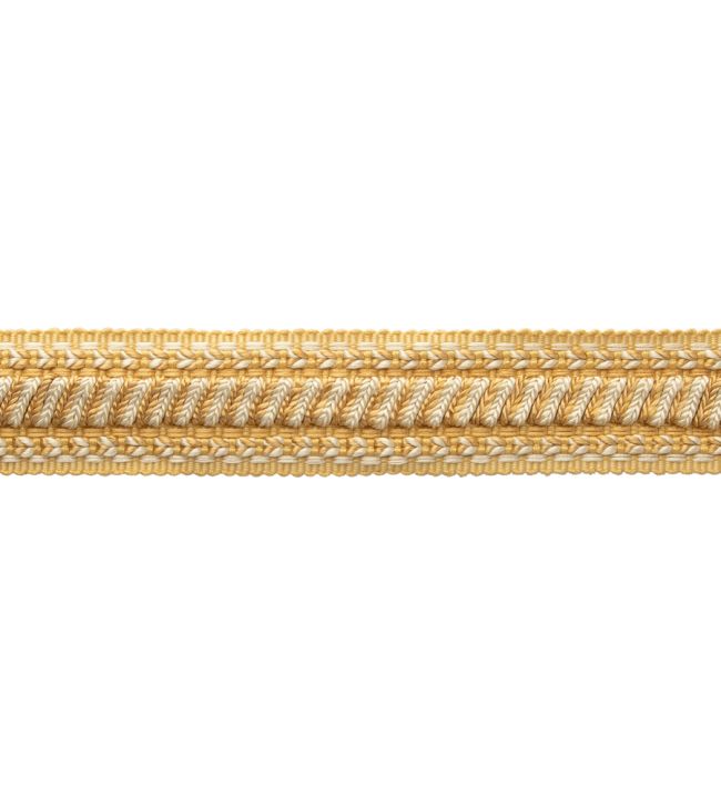 Bagatelle Braid Trimmings in Jonquil by Samuel & Sons | Jane Clayton