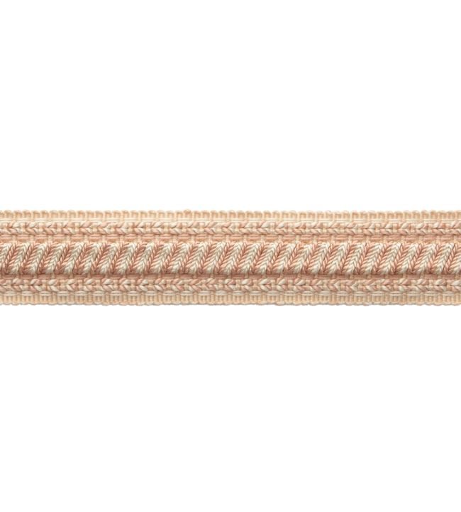Bagatelle Braid Trimmings in Petal by Samuel & Sons | Jane Clayton