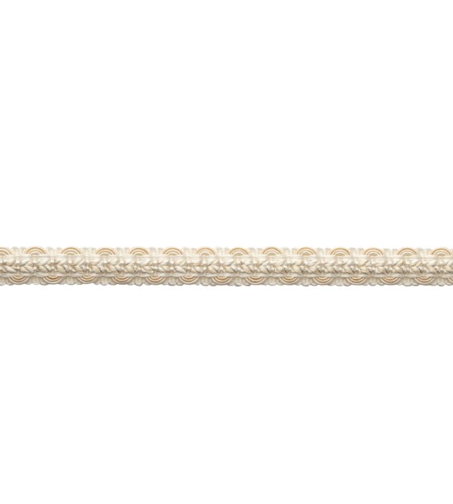 Bagatelle Braided Gimp Trimmings in Gardenia by Samuel & Sons | Jane ...