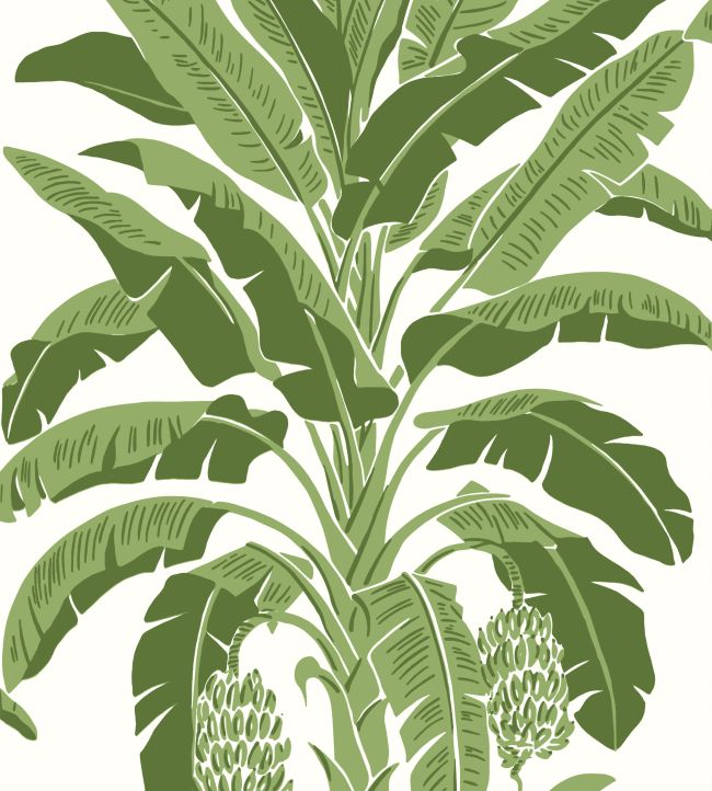 Banana Tree Wallpaper in Green by Thibaut | Jane Clayton