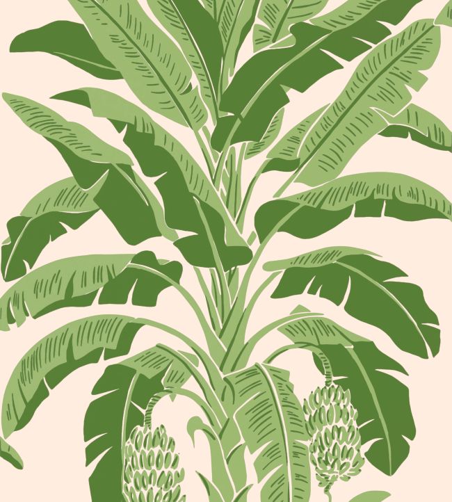 Banana Tree Wallpaper in Pink and Green by Thibaut | Jane Clayton
