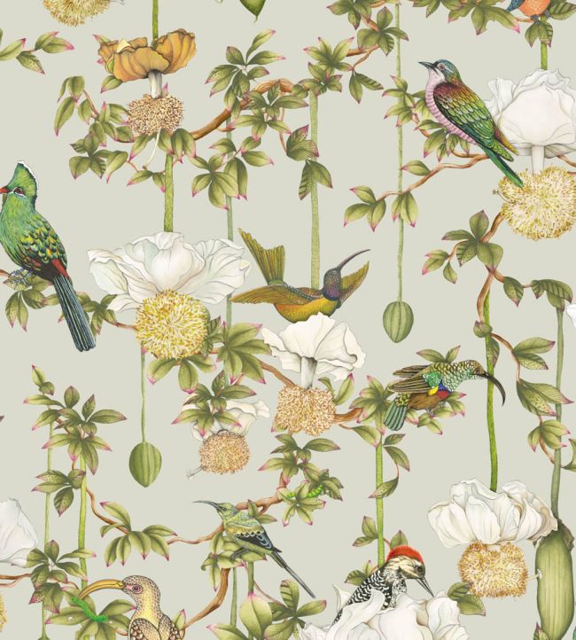 Baobab Botanica Wallpaper in Duck Egg by Cole & Son | Jane Clayton