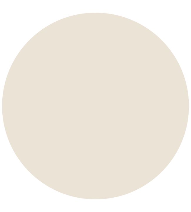 Sanderson Barely Beige Active Emulsion Paint | Jane Clayton