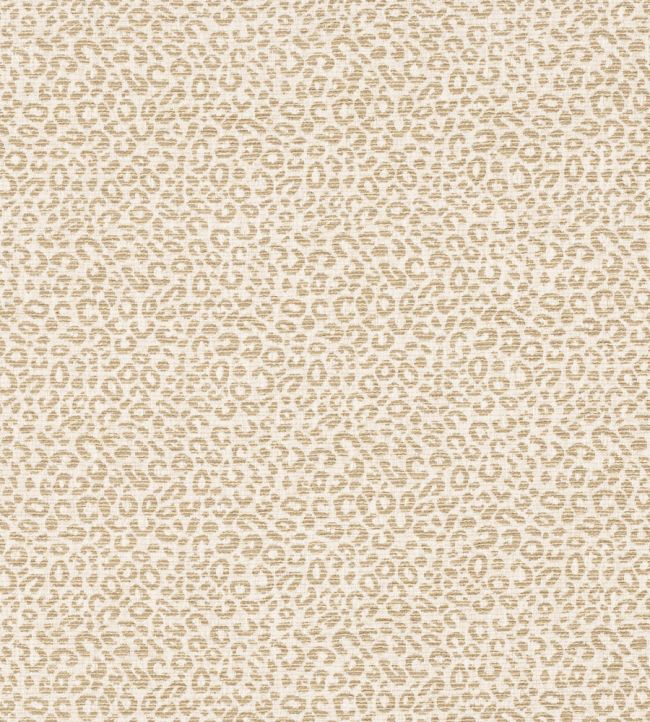 Baxter Fabric in Sand by Colefax and Fowler | Jane Clayton