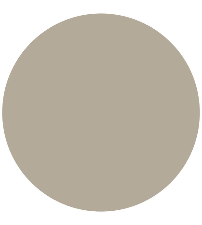 Sanderson Beech Grey Active Emulsion Paint | Jane Clayton