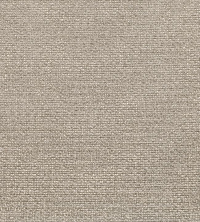 Benetti Fabric in Doeskin by Black Edition | Jane Clayton