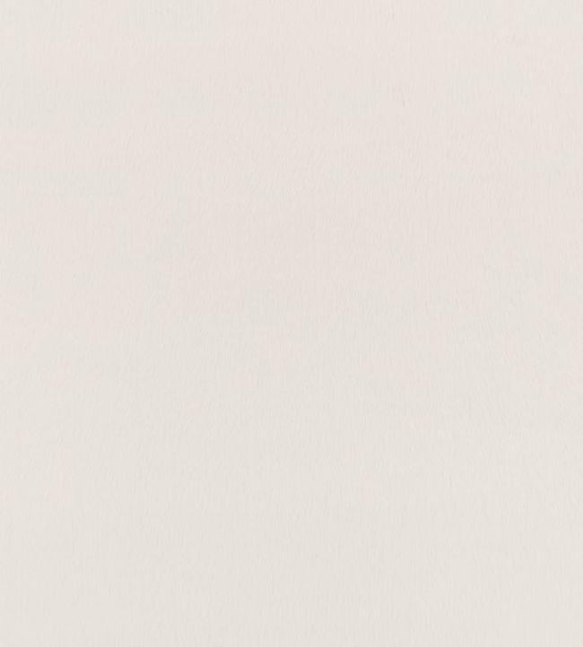 Benjamin Fabric in Chalk by Zinc | Jane Clayton