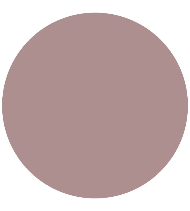 Mylands Bloomsbury No.267 Paint | Jane Clayton