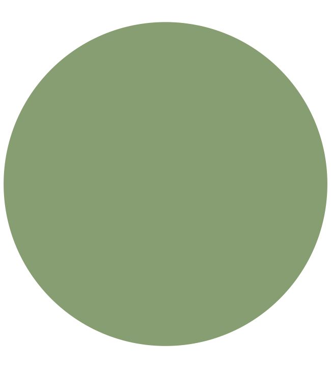 Sanderson Botanical Green Active Emulsion Paint | Jane Clayton