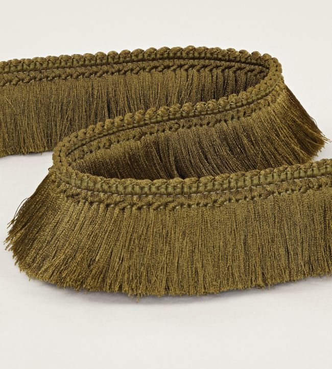 Brush Fringe Trimmings in Olivette by Temperley London for Romo | Jane ...