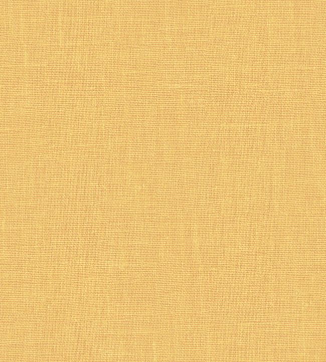 Campbell Fabric in Honey by Warner House | Jane Clayton