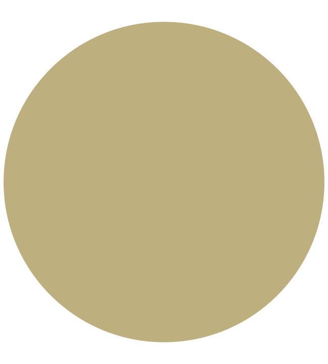 Sanderson Caraway Green Active Emulsion Paint | Jane Clayton