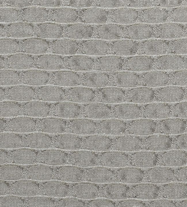 Dimity Fabric by Chase Erwin in Platinum | Jane Clayton