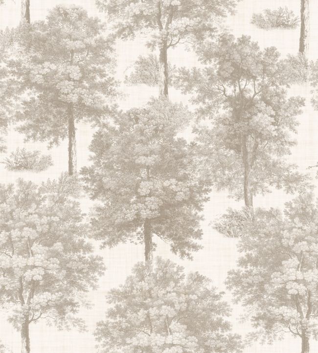 Chestnut Tree Wallpaper in Ecru by Coordonne | Jane Clayton