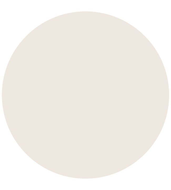 Chinese White Paint in Chinese White by Craig & Rose | Jane Clayton