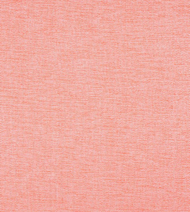 Clara Fabric in Coral by Thibaut | Jane Clayton