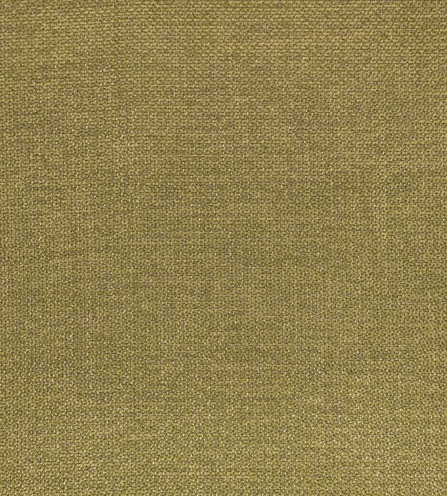 Clarendon Fabric in Cypress by Zinc | Jane Clayton