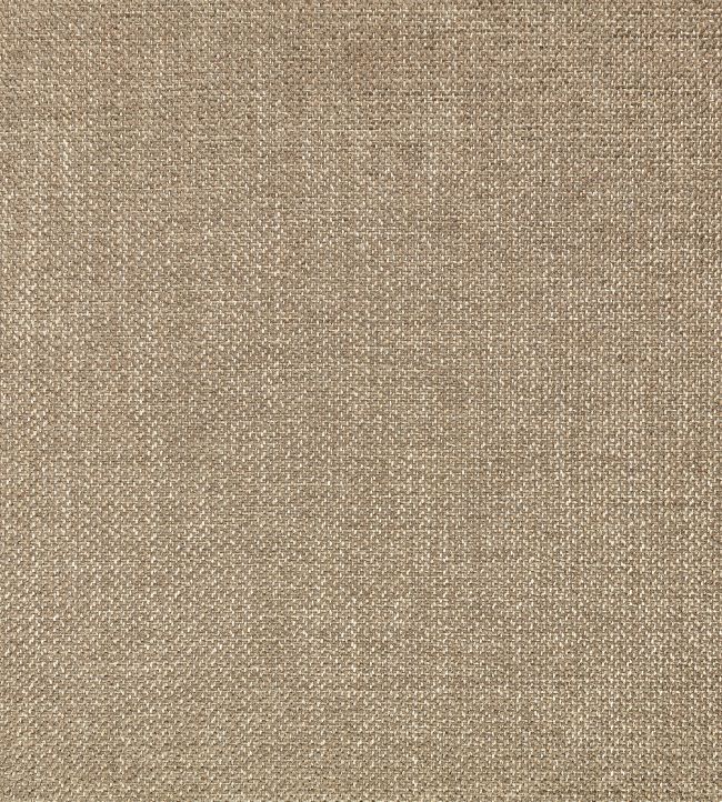 Clarendon Fabric in Tungsten by Zinc | Jane Clayton