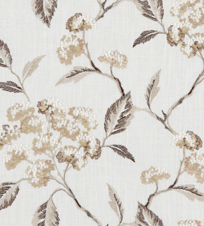 Summerby Fabric by Clarke & Clarke in Natural | Jane Clayton