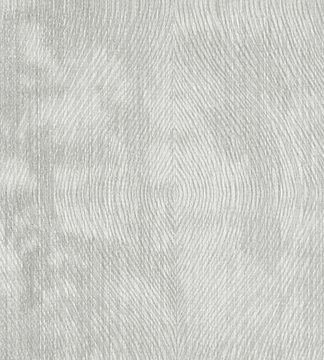 Luster Fabric by Clarke & Clarke in Silver | Jane Clayton