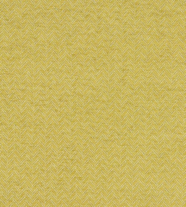 Trinity Fabric by Clarke & Clarke in Chartreuse | Jane Clayton