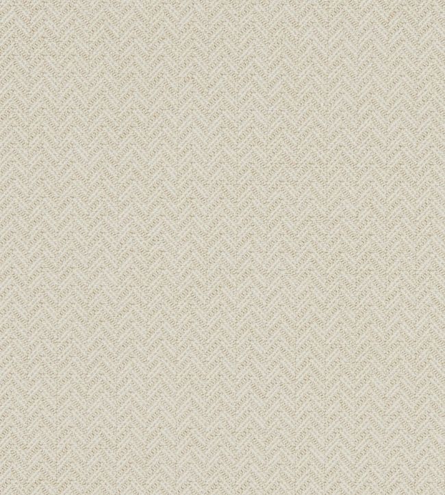 Trinity Fabric by Clarke & Clarke in Ivory | Jane Clayton