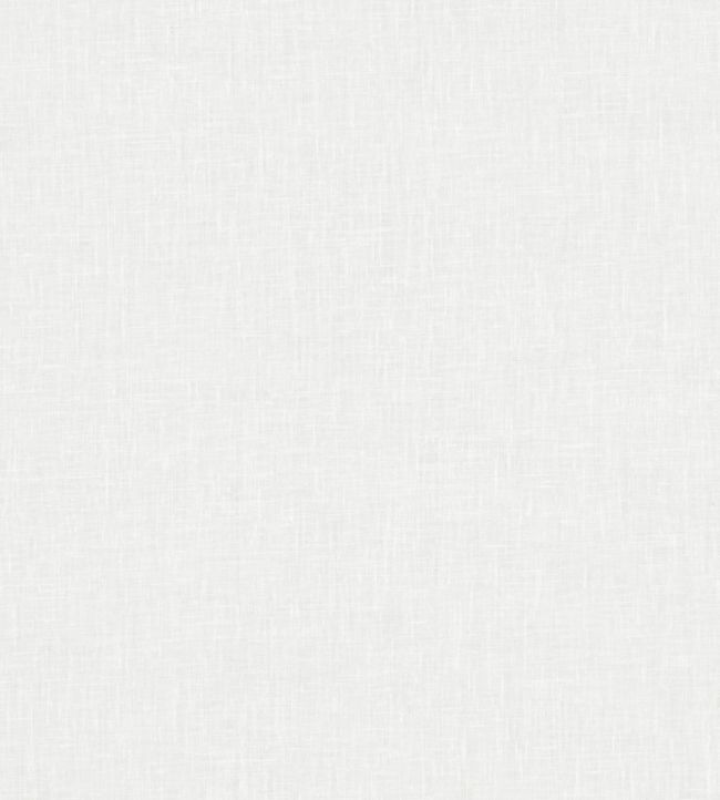 Midori Fabric by Clarke & Clarke in Polar | Jane Clayton