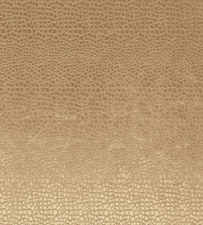 Pulse Fabric by Clarke & Clarke in Antique | Jane Clayton