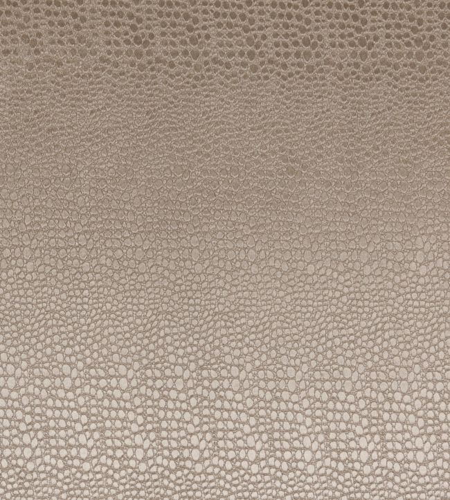 Pulse Fabric by Clarke & Clarke in Ash | Jane Clayton