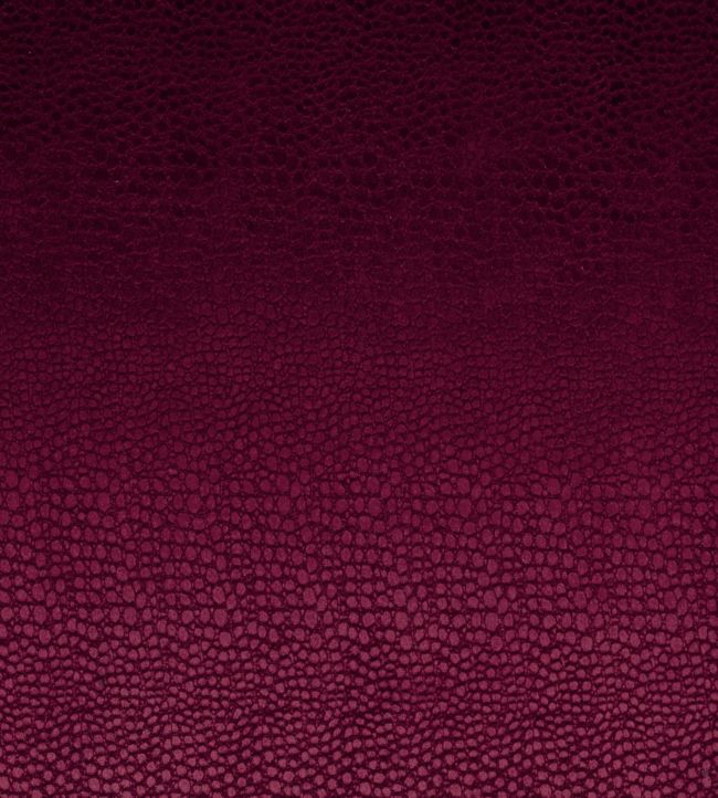 Pulse Fabric by Clarke & Clarke in Claret | Jane Clayton