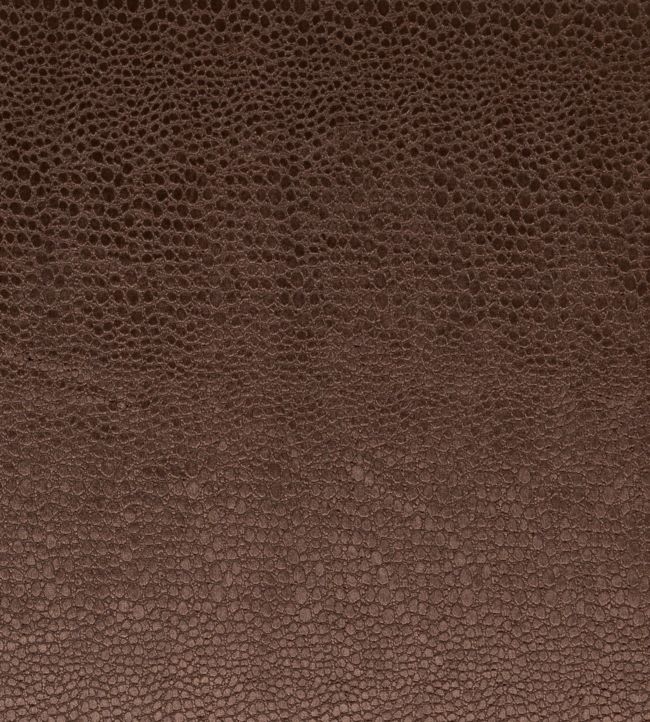 Pulse Fabric by Clarke & Clarke in Espresso | Jane Clayton