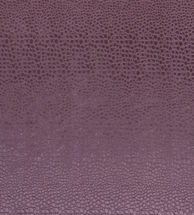 Pulse Fabric by Clarke & Clarke in Grape | Jane Clayton